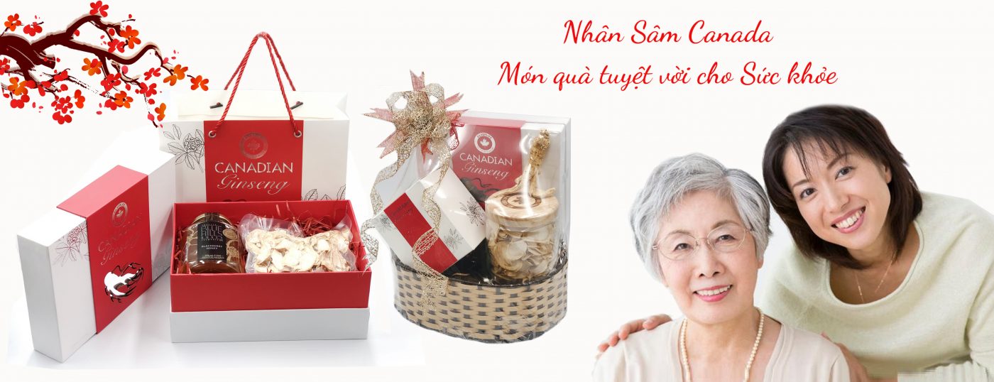 Nhân Sâm Canada - Món Quà Tết Ý Nghĩa Cho Ông Bà, Cha Mẹ