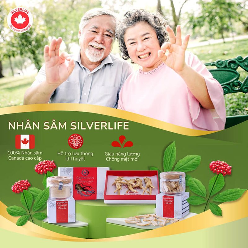 Nhân Sâm Canada SilverLife - Cung Cấp Sâm Canada Chính Gốc